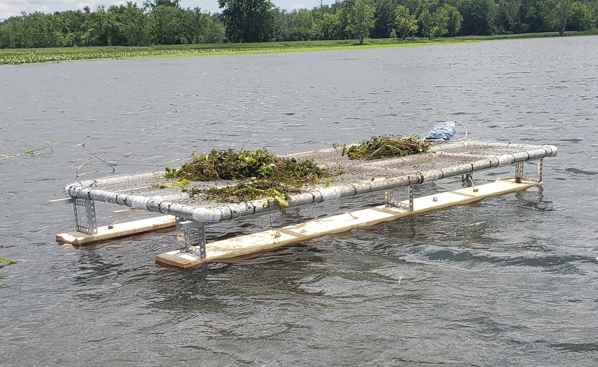 July | 2020 | The Jonah Center For Earth & Art